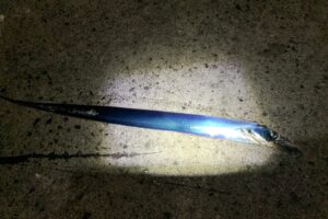 月下美人EX76ML-T 剛(GOU)買ったのでレビューします！目指せ尺メバル！！ | アウちゃん